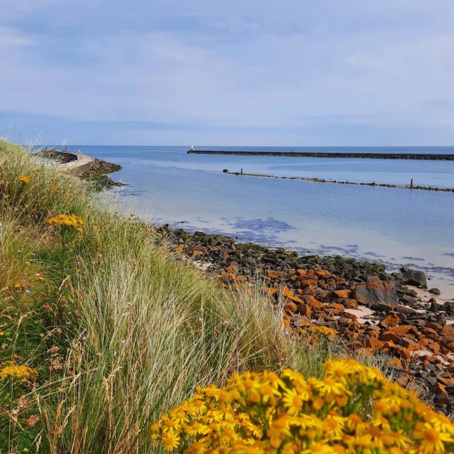 Over 400 entries to our Coastal Connections Exhibition - Roe Valley ...