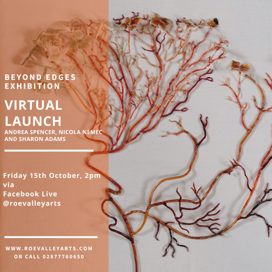 Beyond Edges Virtual Exhibition Launch! - Roe Valley Arts & Cultural ...