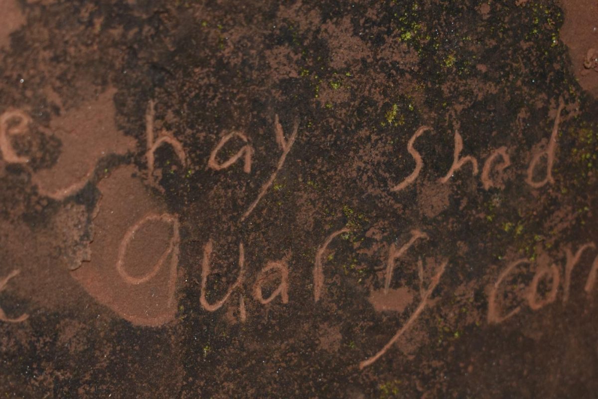 Matthew Wilson - Flowerfield Arts Centre - Portstewart